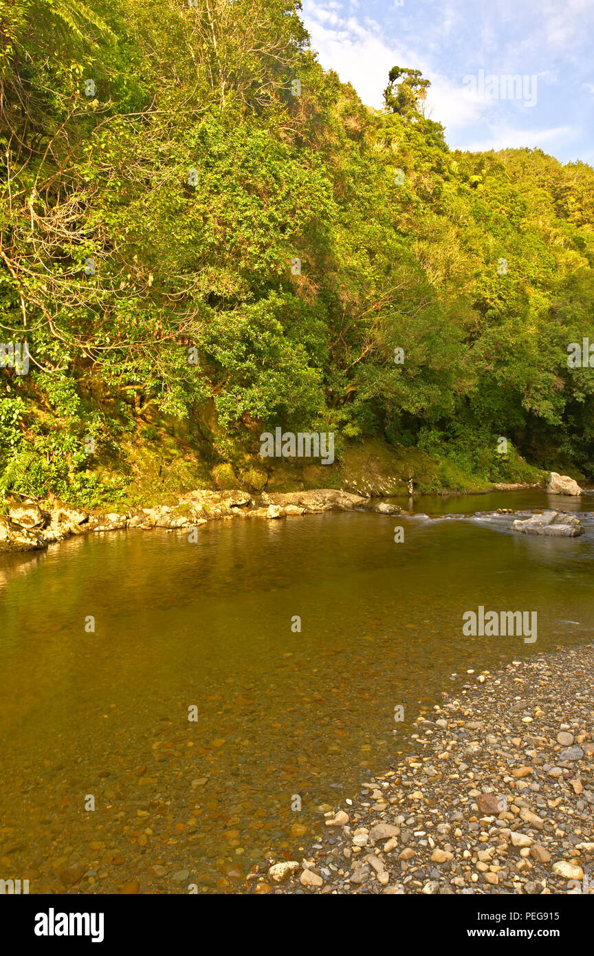Kaitoke regional park hi-res stock photography and images - Alamy