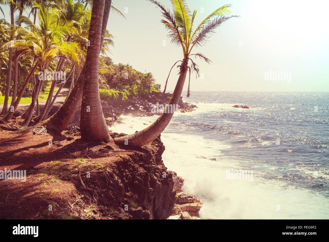 Amazing hawaiian beach Stock Photo - Alamy