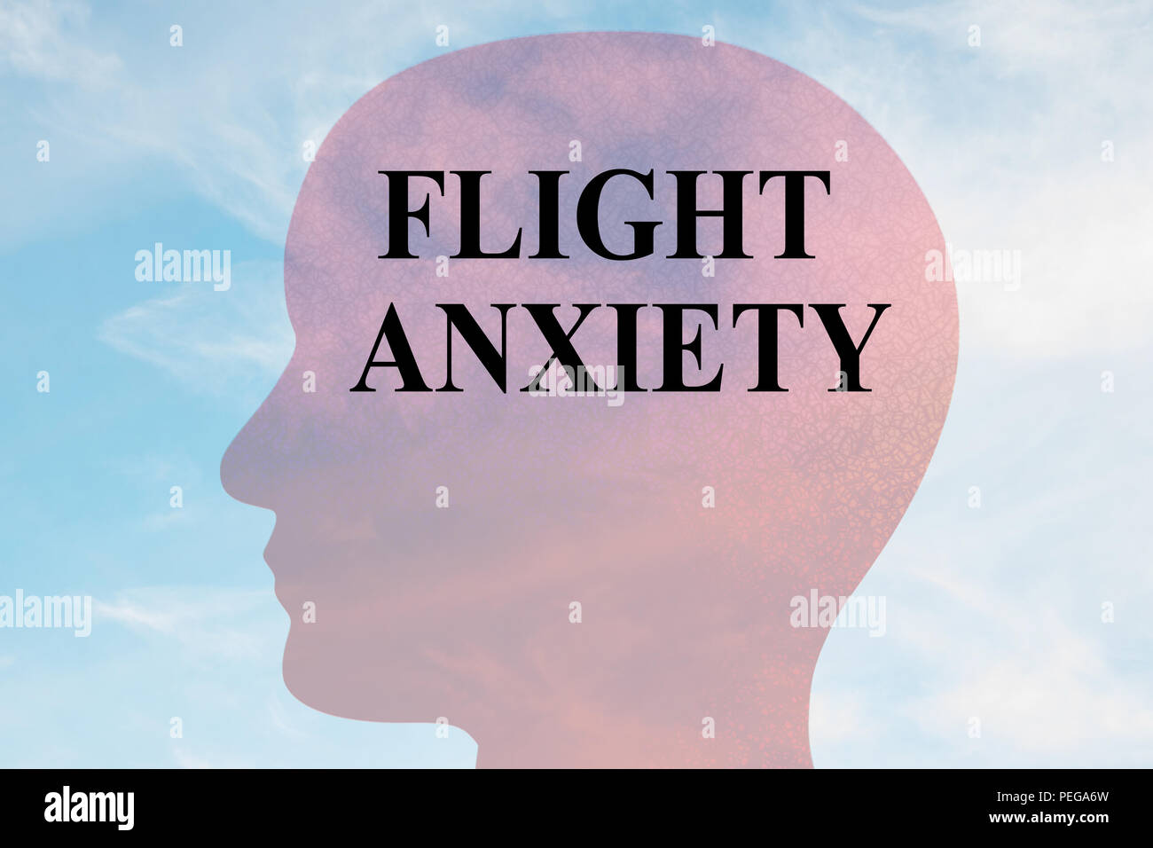 Render illustration of FLIGHT ANXIETY title on head silhouette, with ...