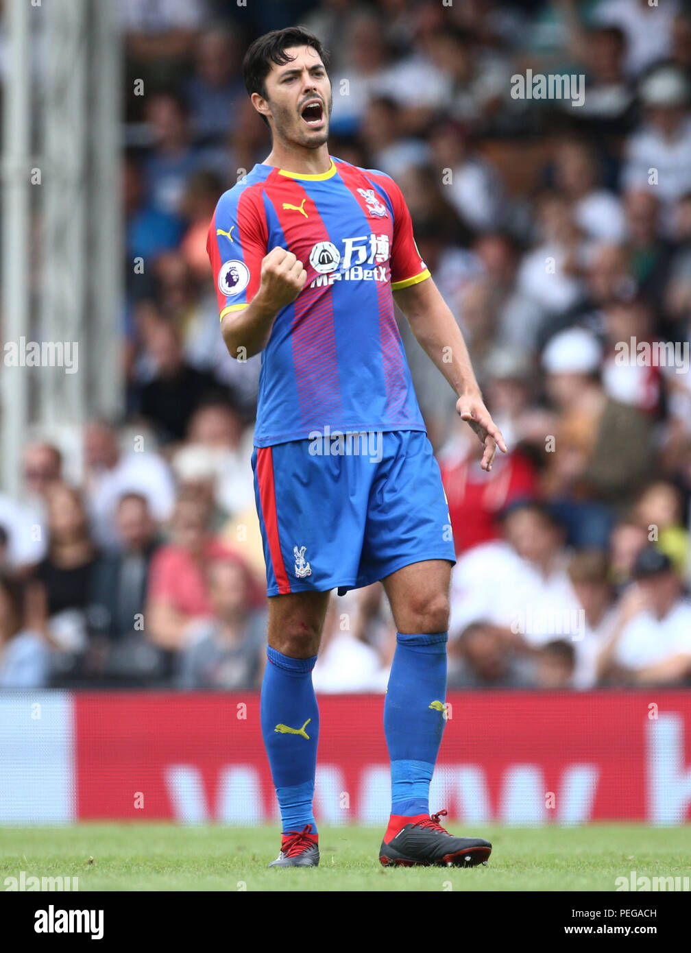 Crystal Palace's James Tomkins during the Premier League match at ...