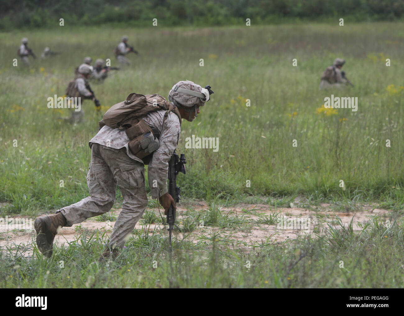Marines with Bravo and Charlie Company, 2nd Combat Engineer Battalion ...