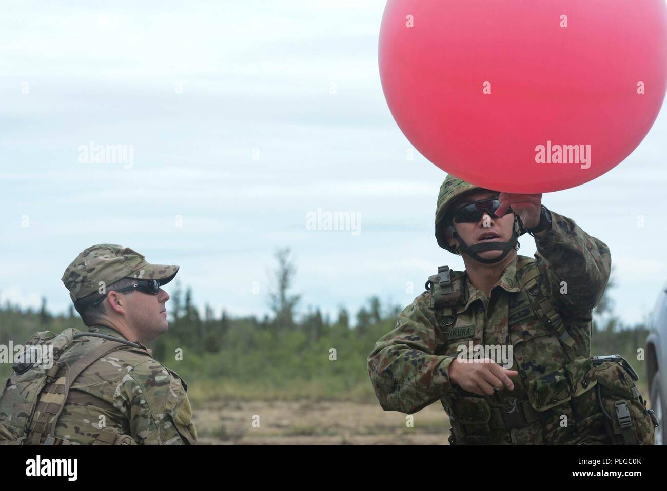 A member of 1st Airborne Brigade, Japan Ground Self-Defense Forces and ...