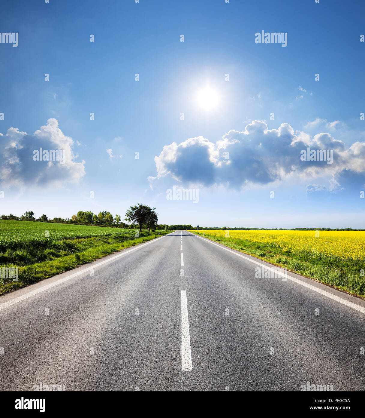 Road through beautiful green and yellow field countryside sunny ...