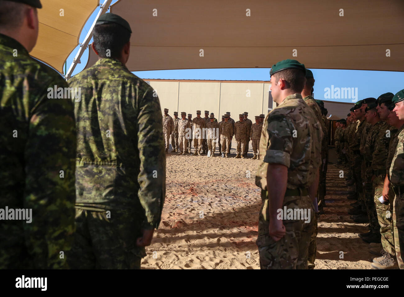 Service members with the 1st Canadian Mechanized Brigade Group, British ...
