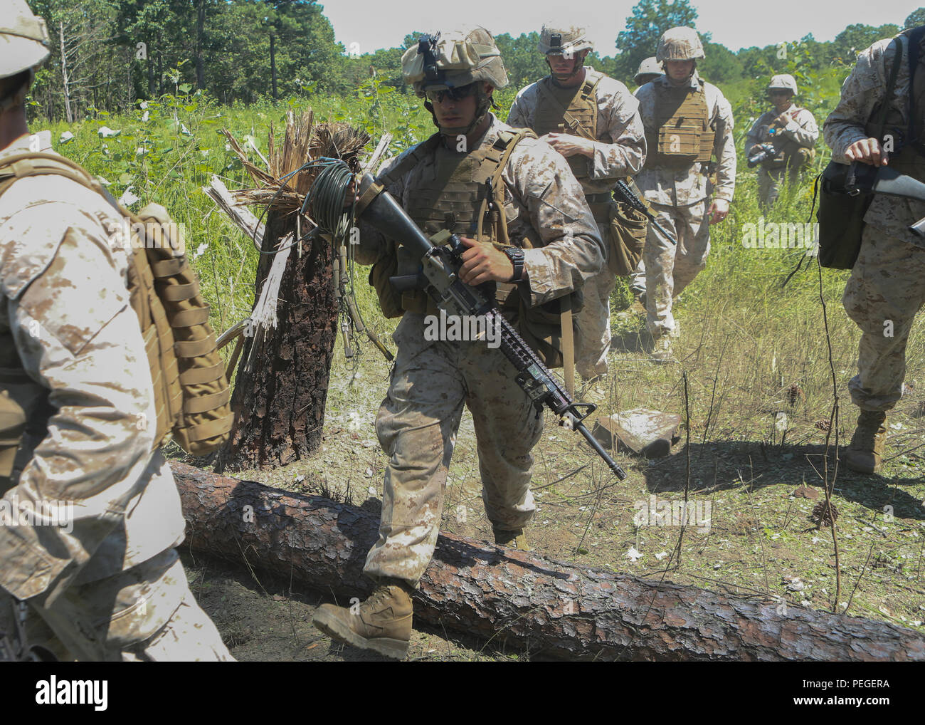 Marines from 2nd Combat Engineer Battalion step over a tree they just ...
