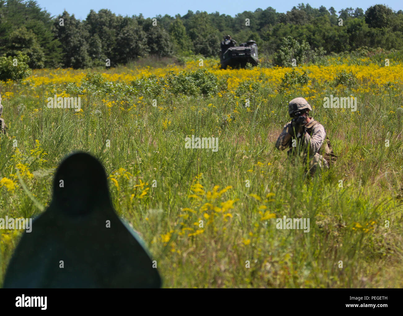A Marine with Alpha Company, 2nd Combat Engineer Battalion, advances ...
