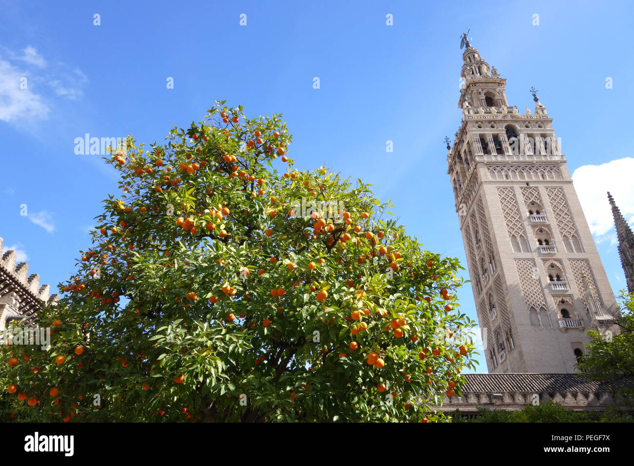 Sevilla orange hi-res stock photography and images - Alamy