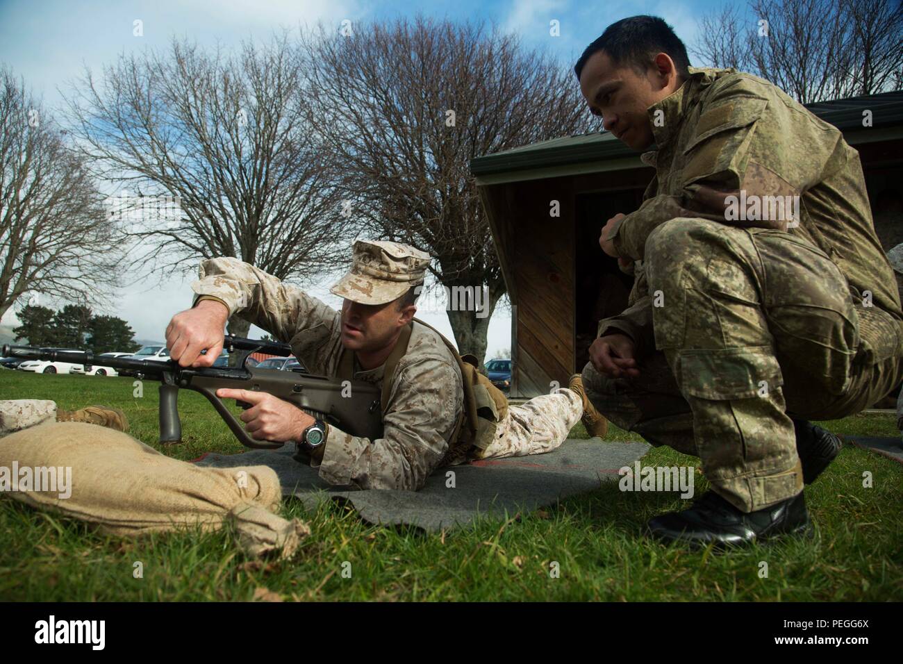A steyr aug rifle hi-res stock photography and images - Alamy