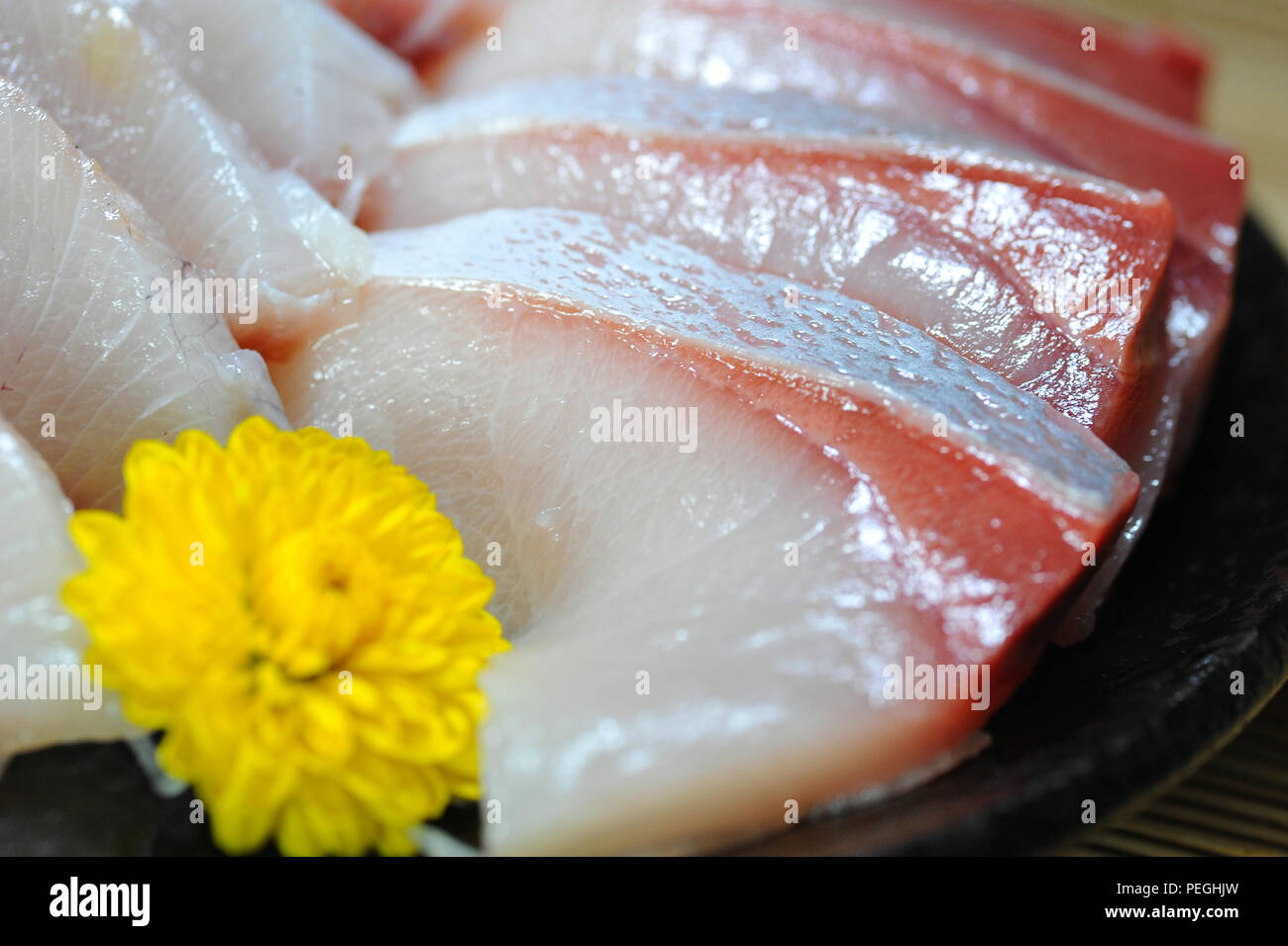Young yellowtail tuna hi-res stock photography and images - Alamy