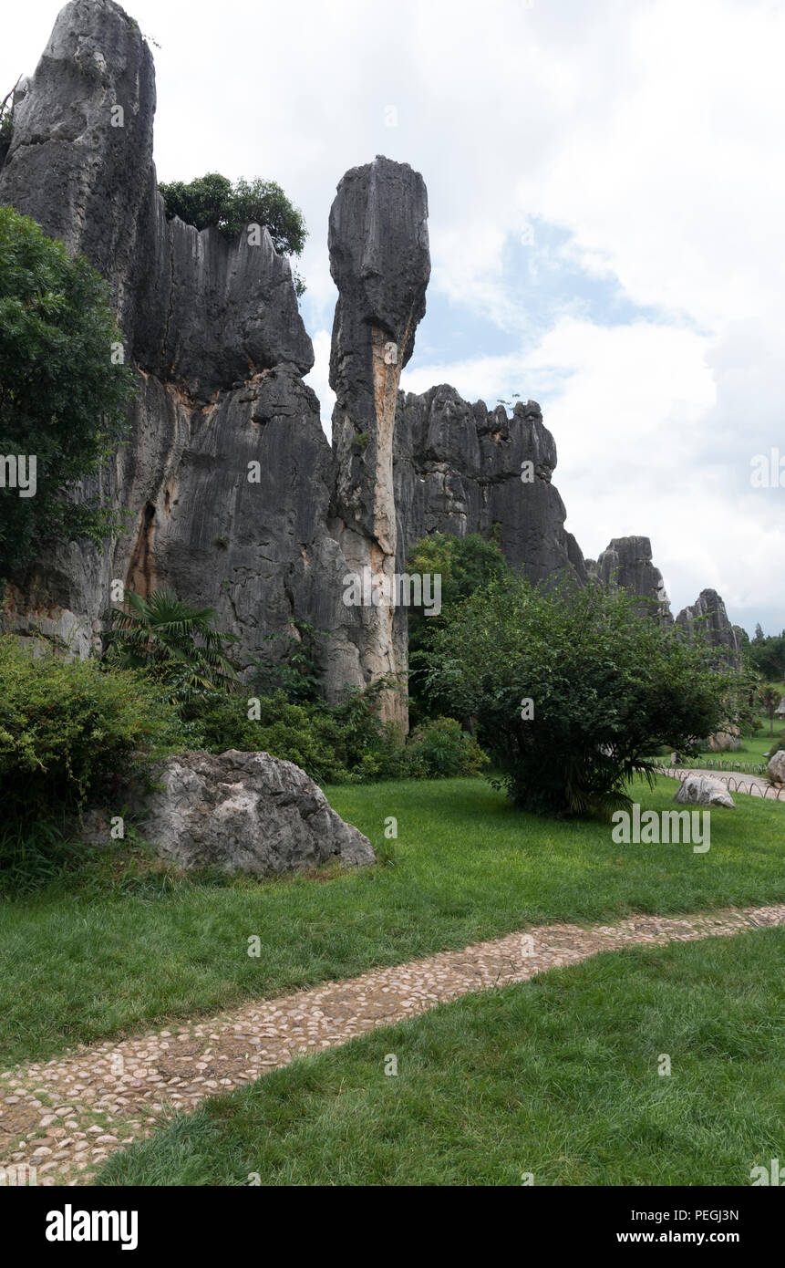 Forest of pillars hi-res stock photography and images - Alamy