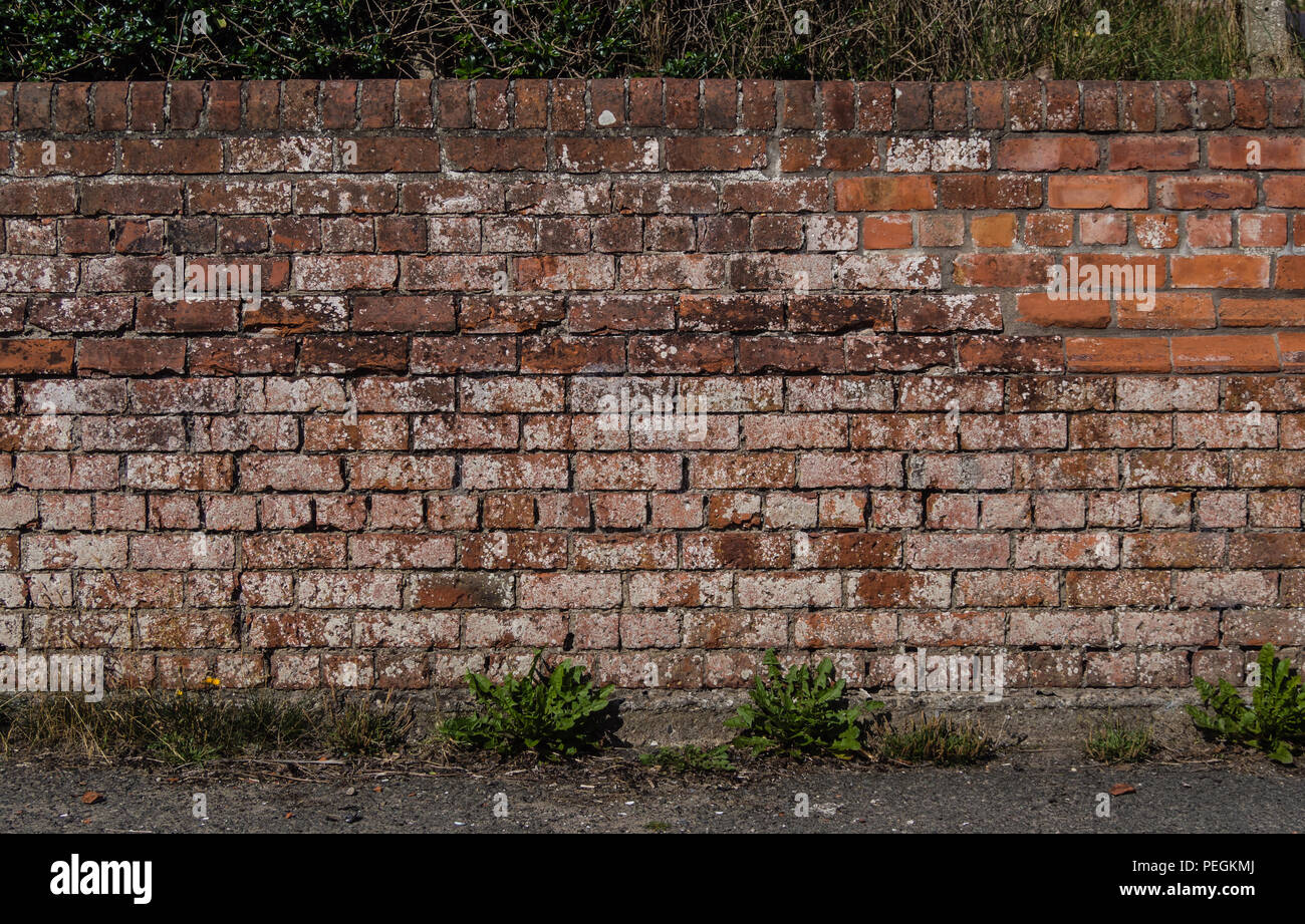Brick bond hi-res stock photography and images - Alamy