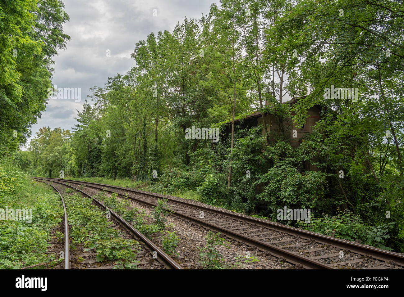 An abandoned german house is hidden in the forest, covered by ...