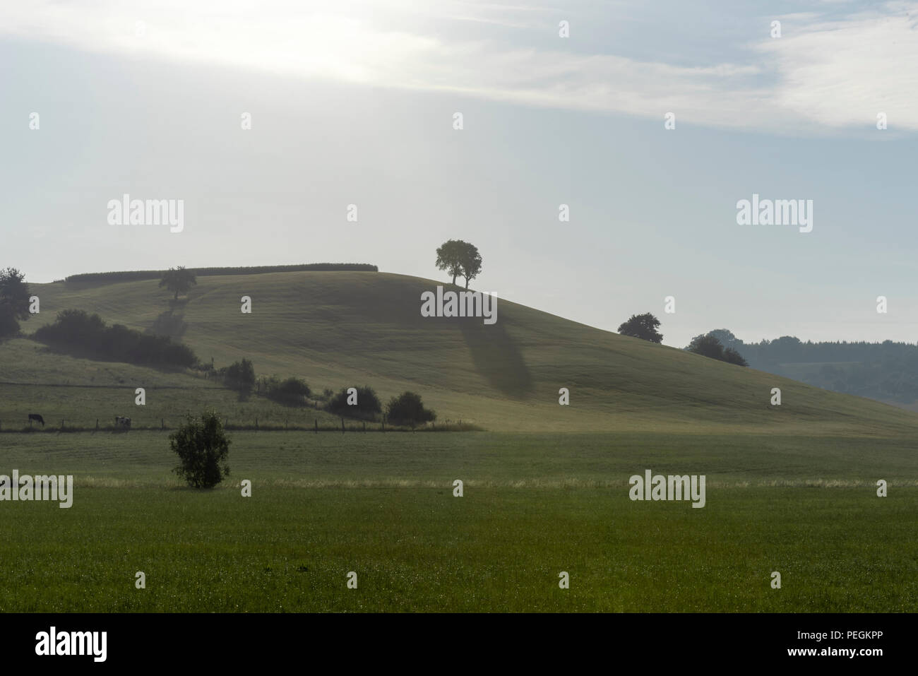 Landscape with the green grass pasture and hillside in the morning ...
