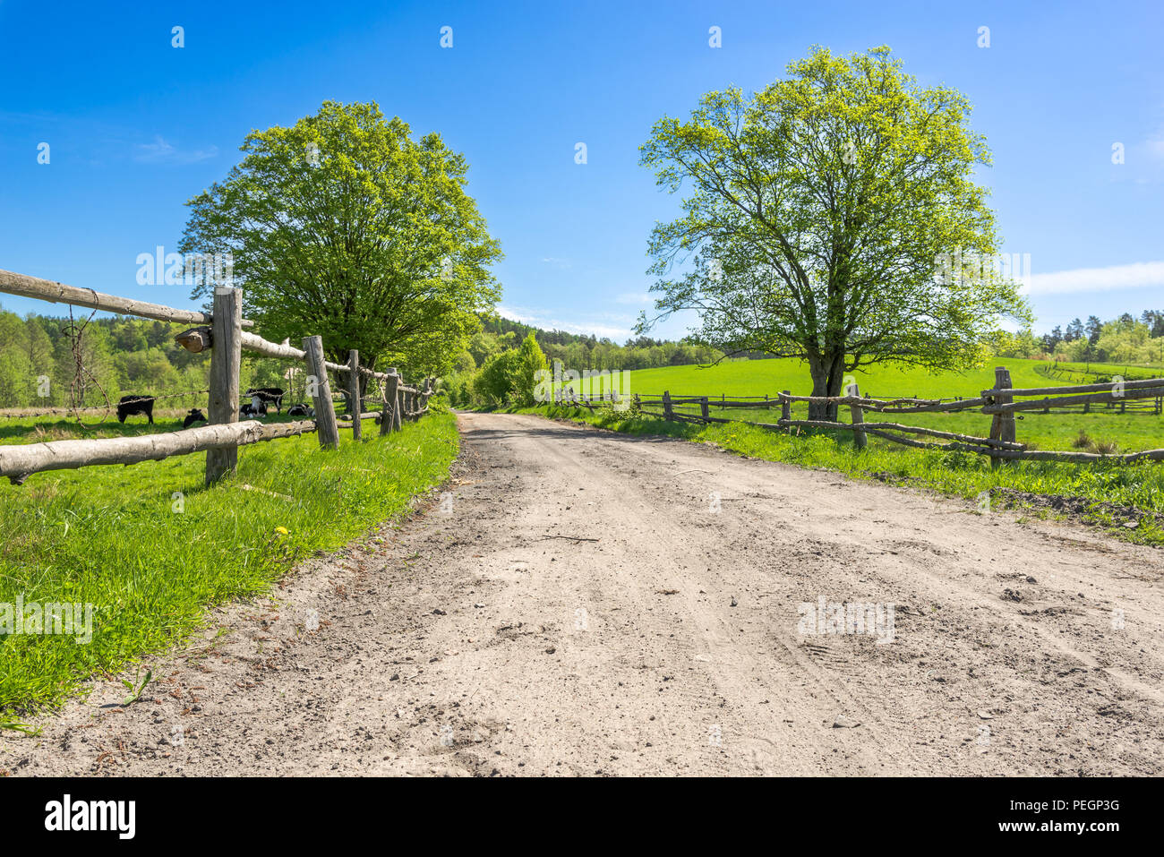 Countryside scene, pasture in country scenery and dirt road through ...