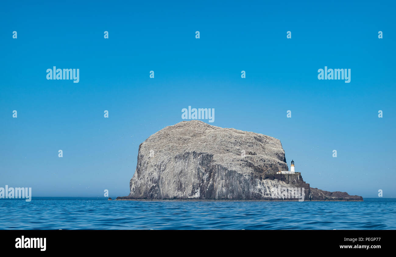 Bass rock, firth of forth, scotland hi-res stock photography and images ...