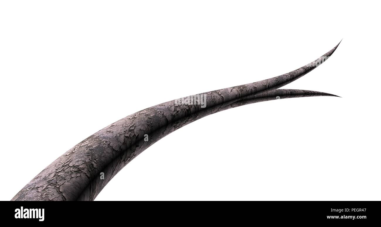 Dry damaged hair with split end 3d rendered illustration Stock Photo ...