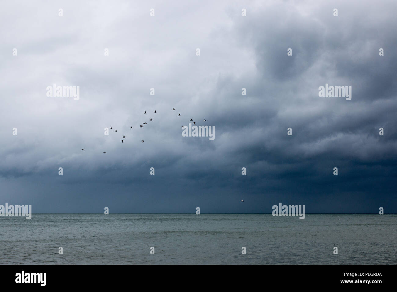 Birds flight clouds storm hi-res stock photography and images - Alamy