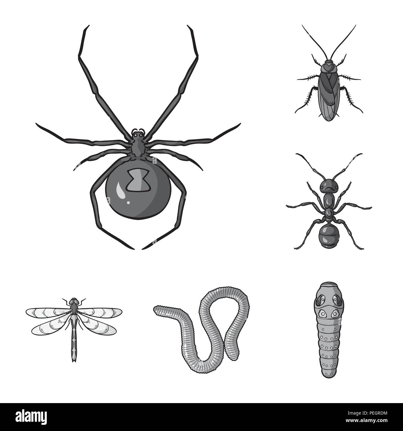 Different kinds of insects monochrome icons in set collection for ...