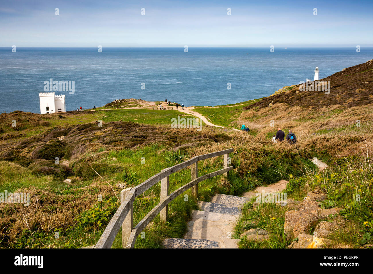 Observation bird hi-res stock photography and images - Alamy