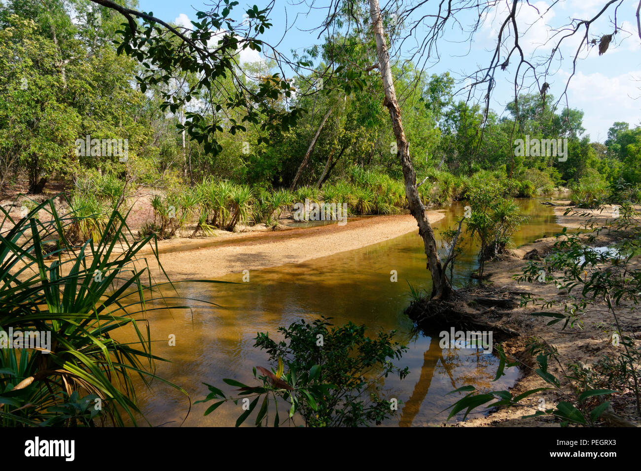Australian wetland landscape hi-res stock photography and images - Alamy