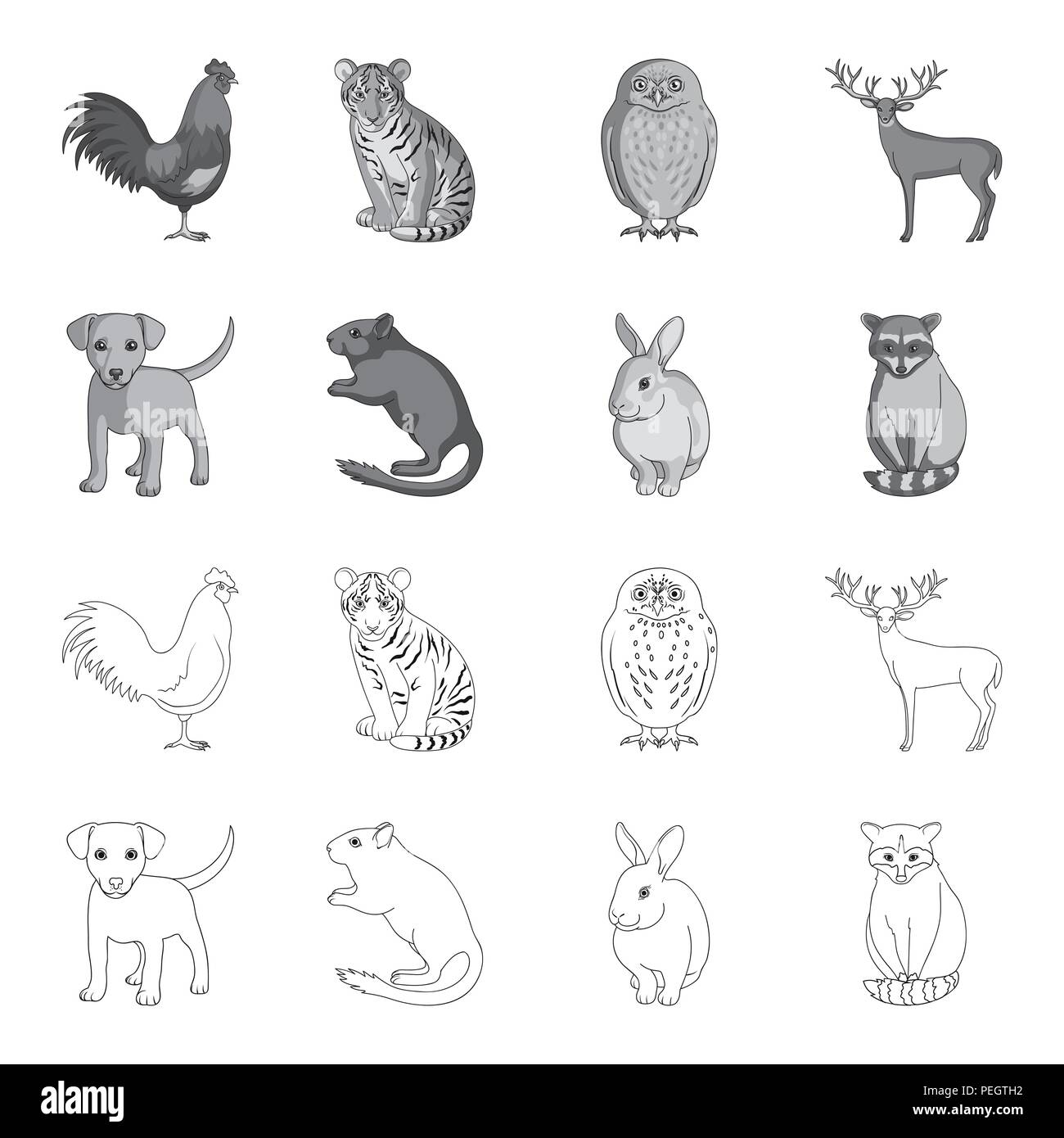 Puppy, rodent, rabbit and other animal species.Animals set collection ...
