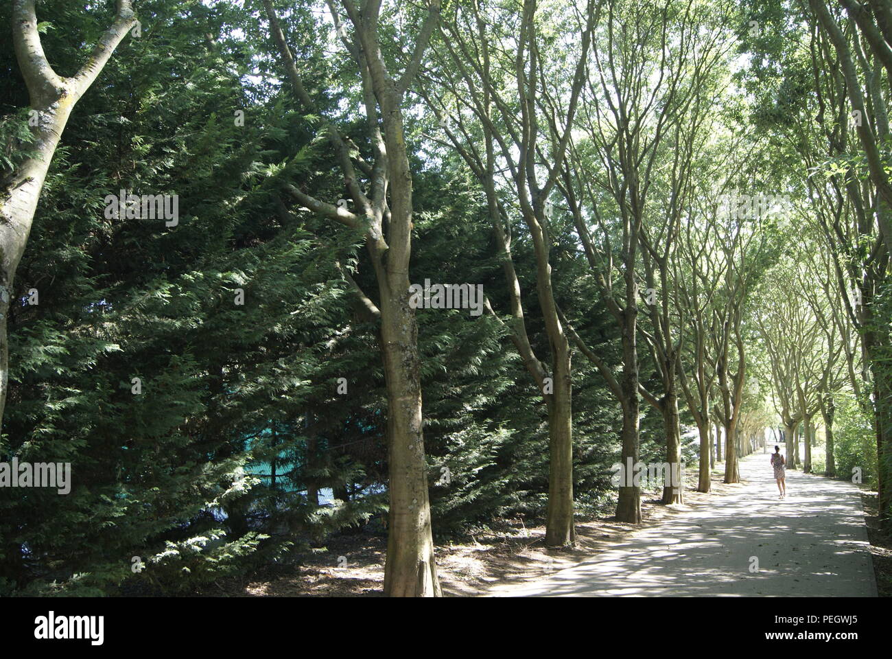 parc en france Stock Photo - Alamy