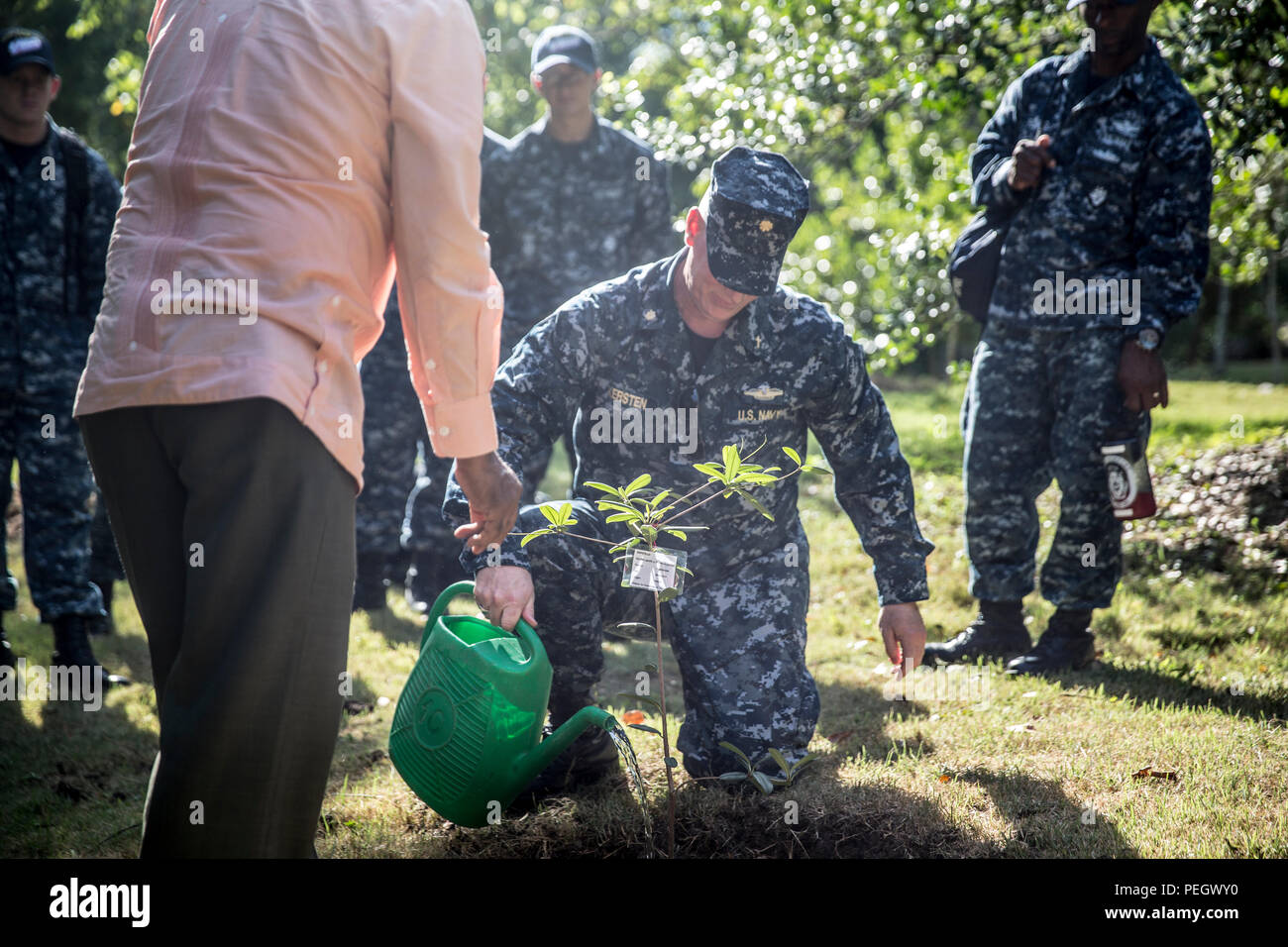 A U.S. Navy Sailor assigned to the USNS Comfort (T-AH-20), plants a ...