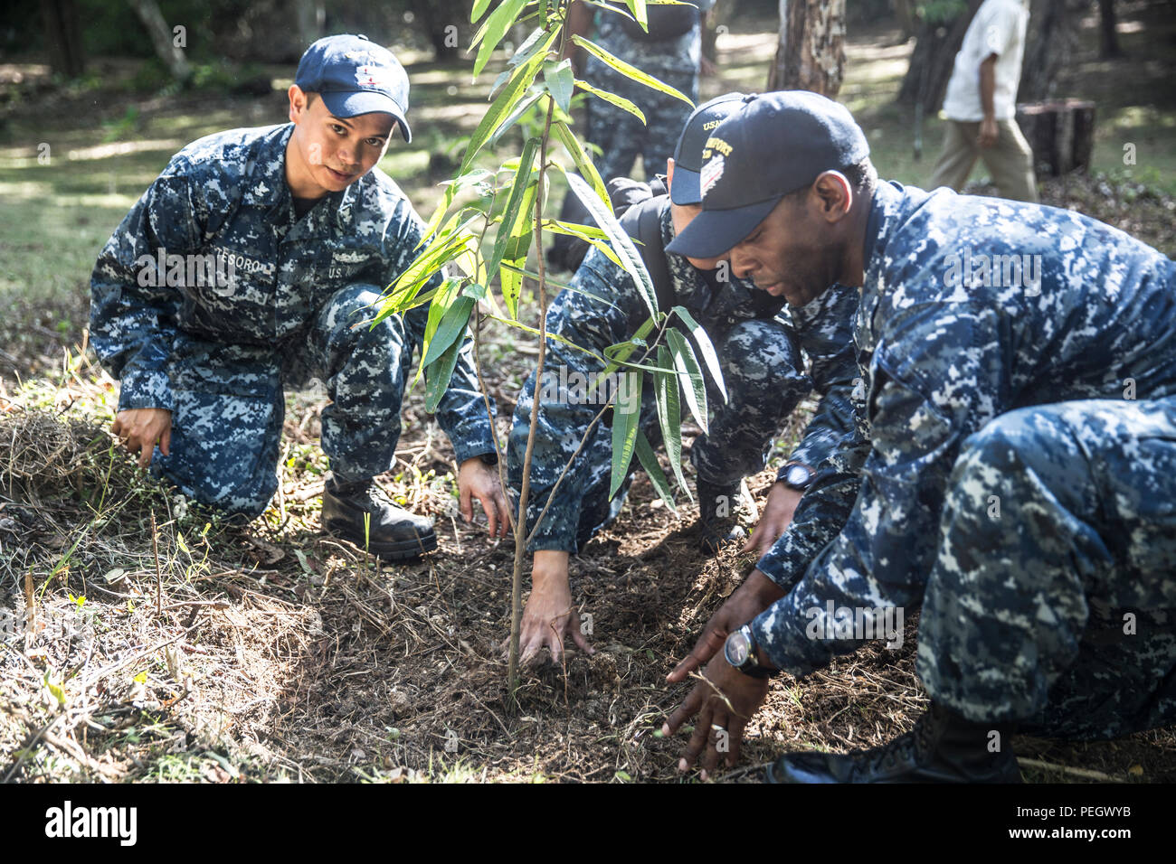 U.S. Navy Sailors assigned to the USNS Comfort (T-AH-20), plant a tree ...