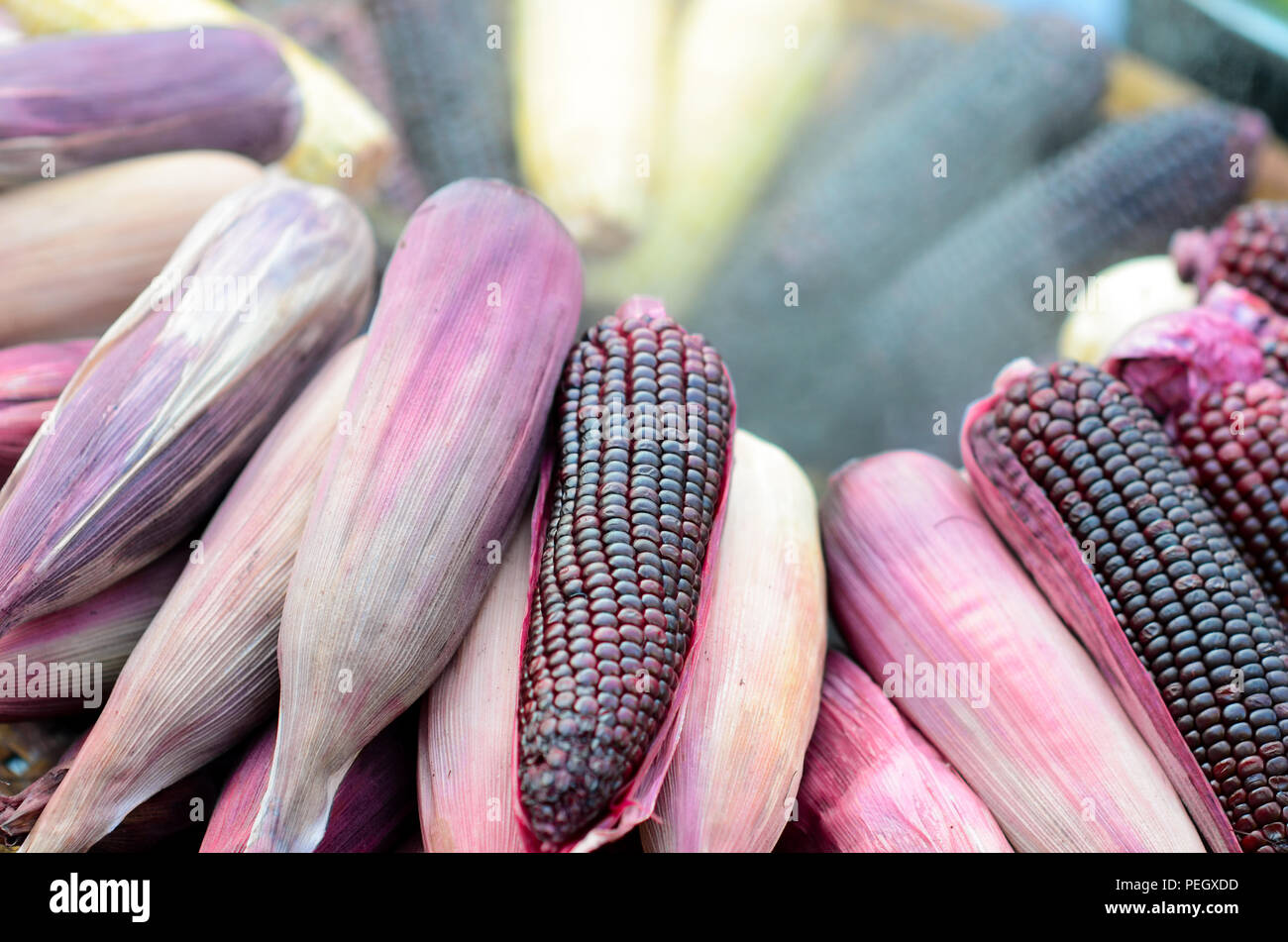 Corn street hi-res stock photography and images - Alamy