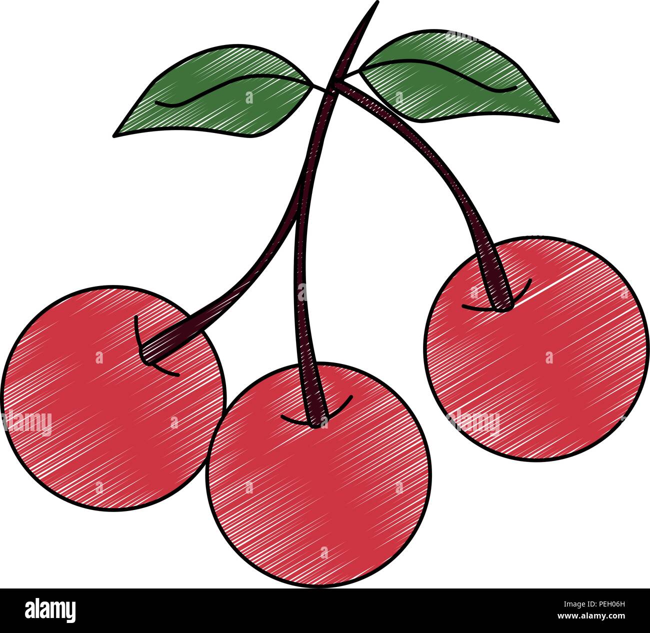 Cherry natural fruit scribble Stock Vector Image & Art - Alamy