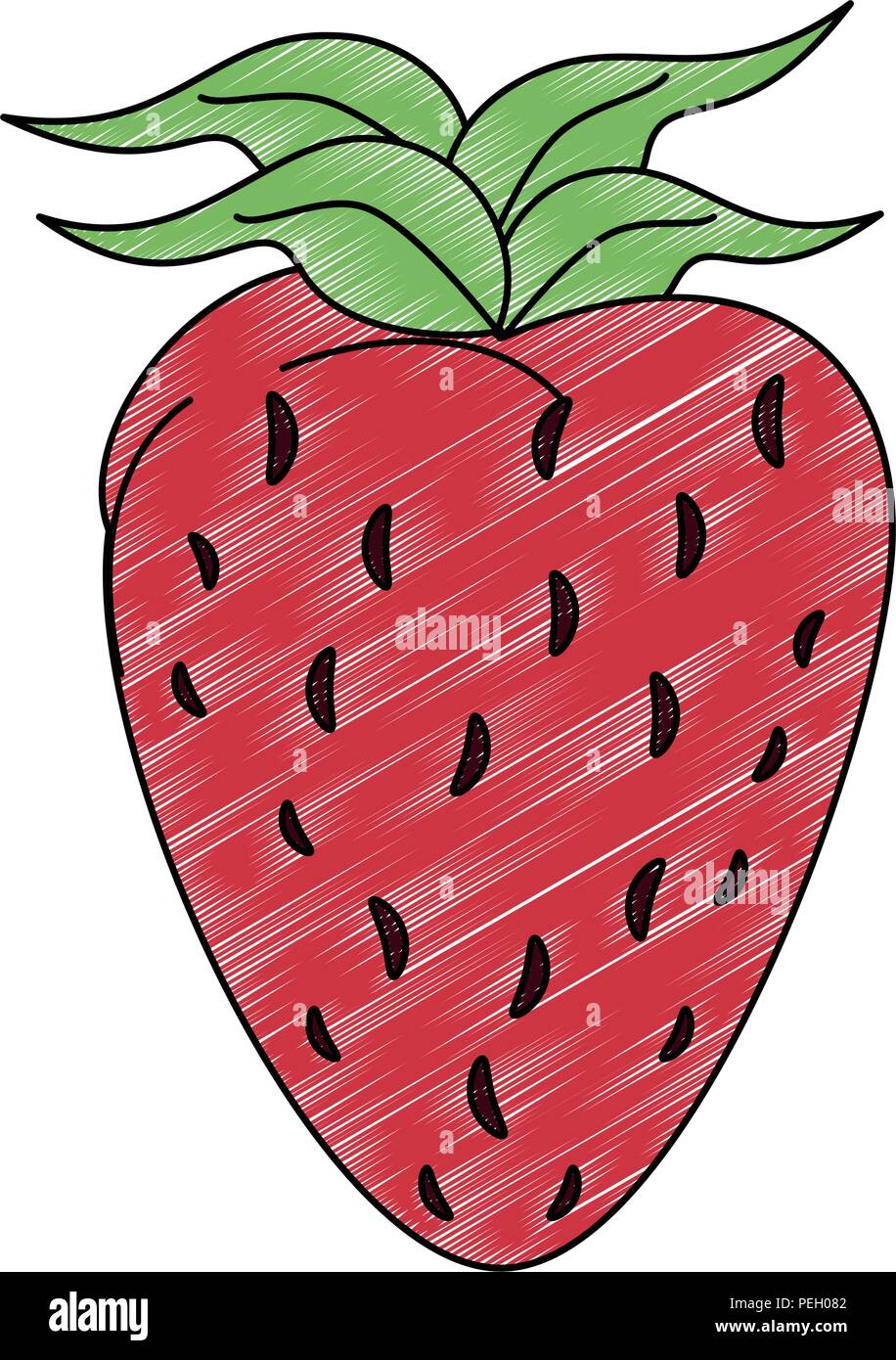 Strawberry natural fruit scribble Stock Vector Image & Art - Alamy
