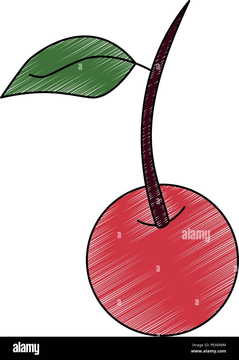 Cherry natural fruit scribble Stock Vector Image & Art - Alamy