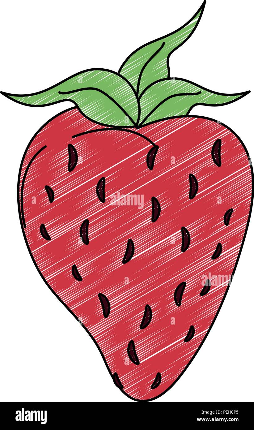 Strawberry natural fruit scribble Stock Vector Image & Art - Alamy