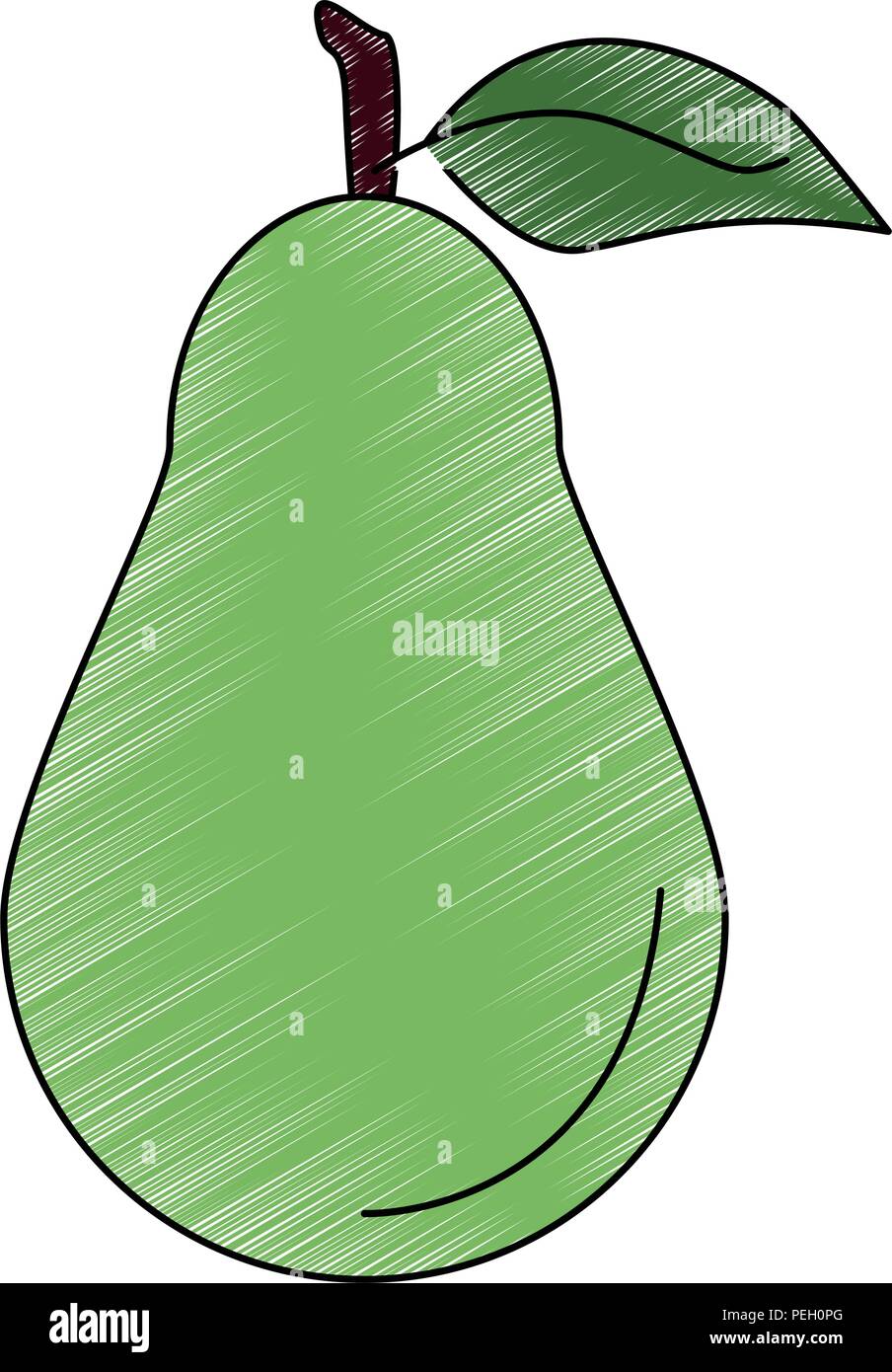Pear natural fruit scribble Stock Vector Image & Art - Alamy