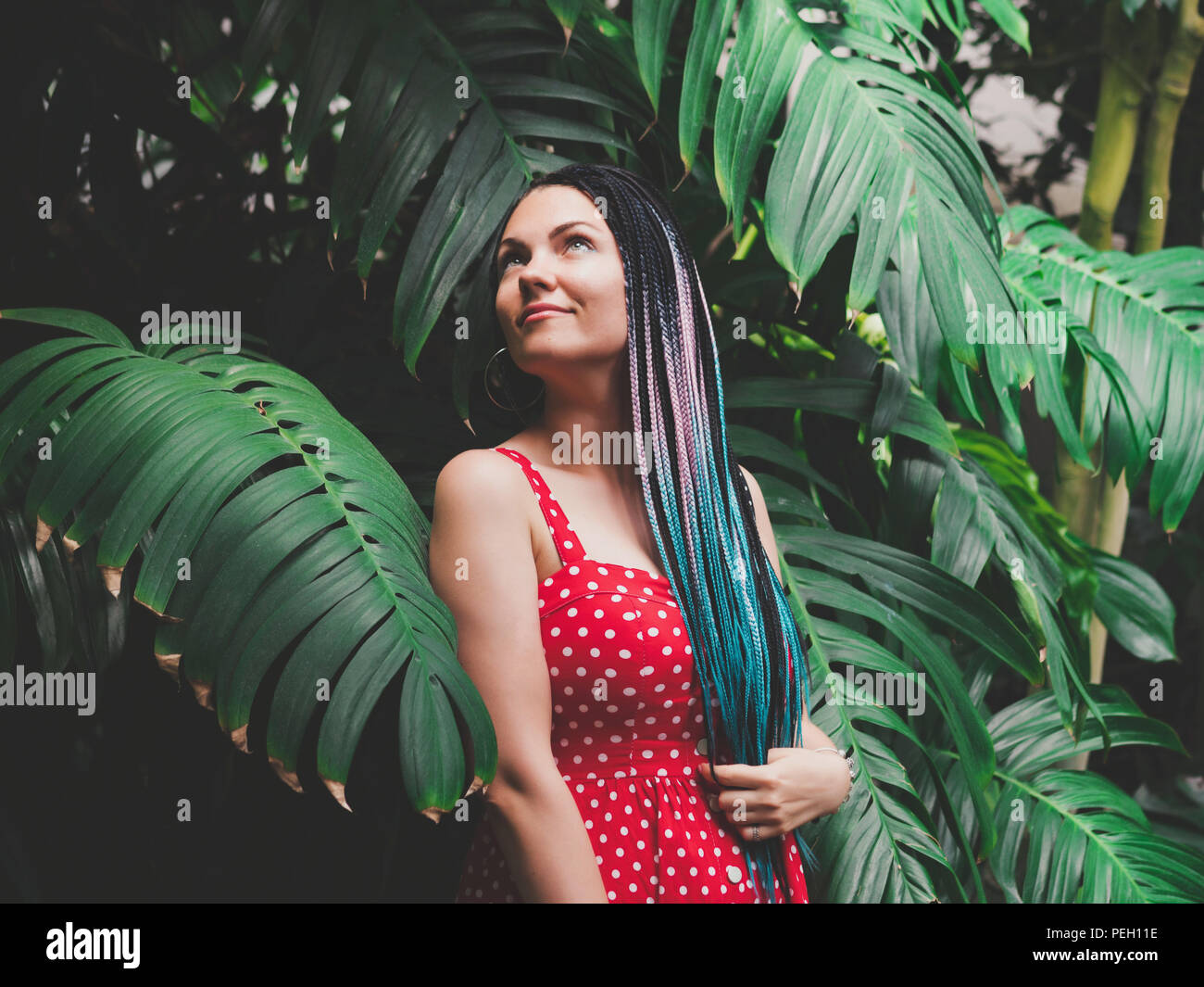 Long jungle leaves white background hi-res stock photography and images ...