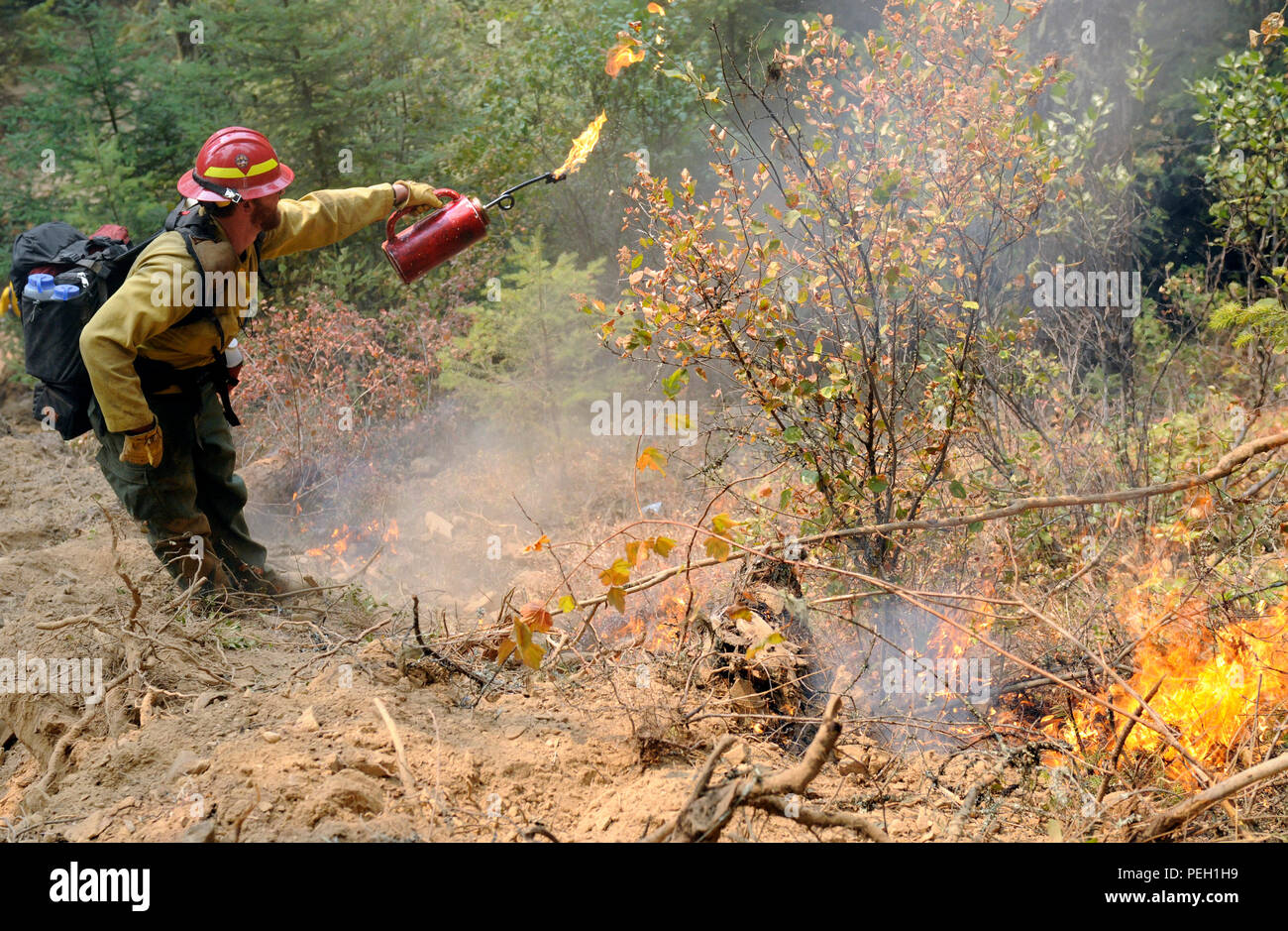 Steve Eaheart, a resident of Aiken, S.C., uses a drip torch to start a ...