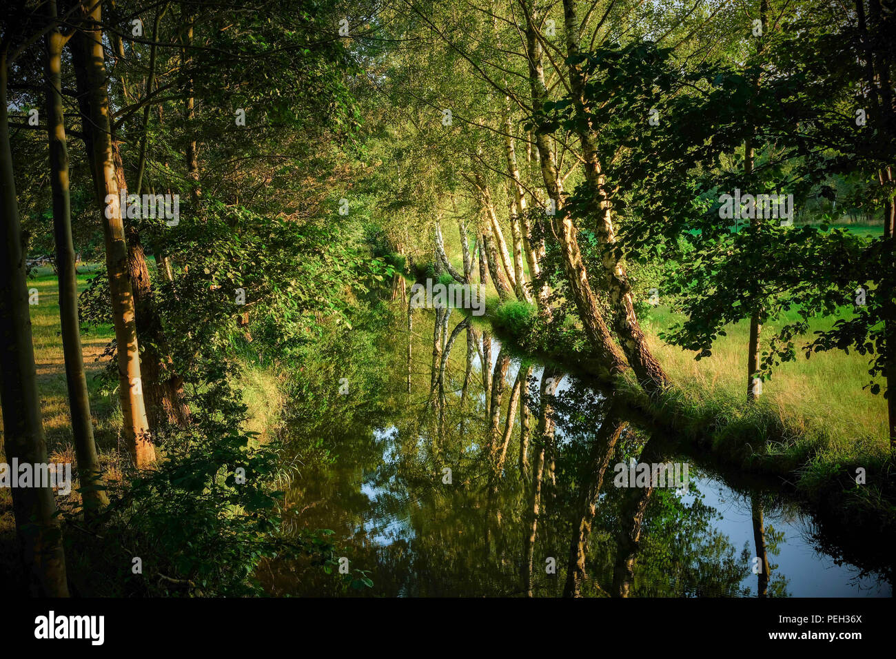 Canal in spreewald at leipe hi-res stock photography and images - Alamy