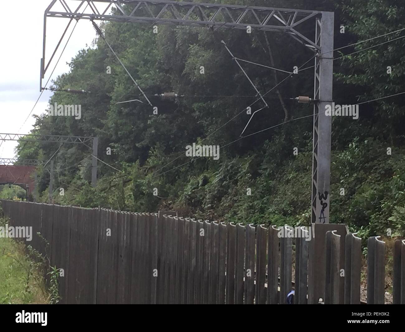 Birmingham, UK. 14th August, 2018. A tree fell onto the railway line in ...