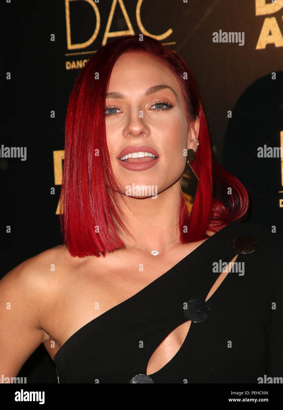 Hollywood, California, USA. 15th Aug 2018. Sharna Burgess, attends The ...