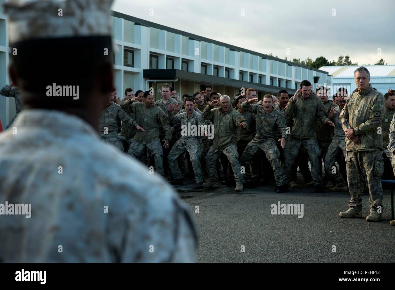 Joint assault signals company black hi-res stock photography and images ...