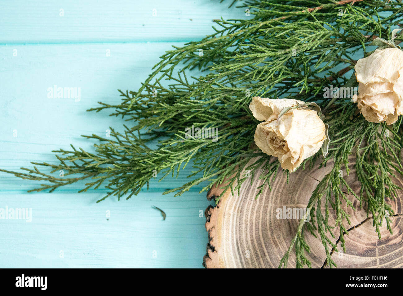 Dried roses, juniper branches and cut wood on turquoise background ...