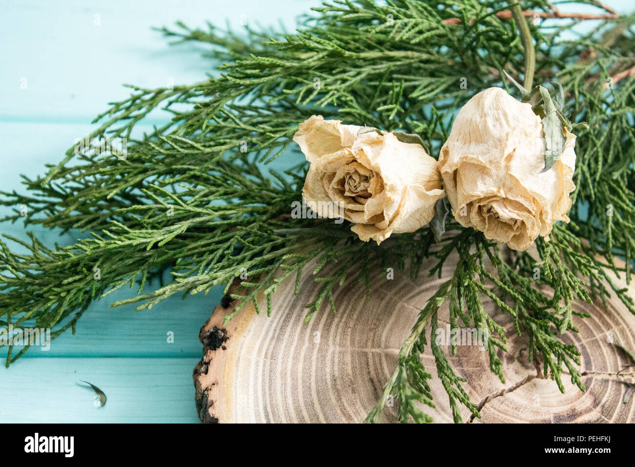 Dried roses, juniper branches and cut wood on turquoise background ...