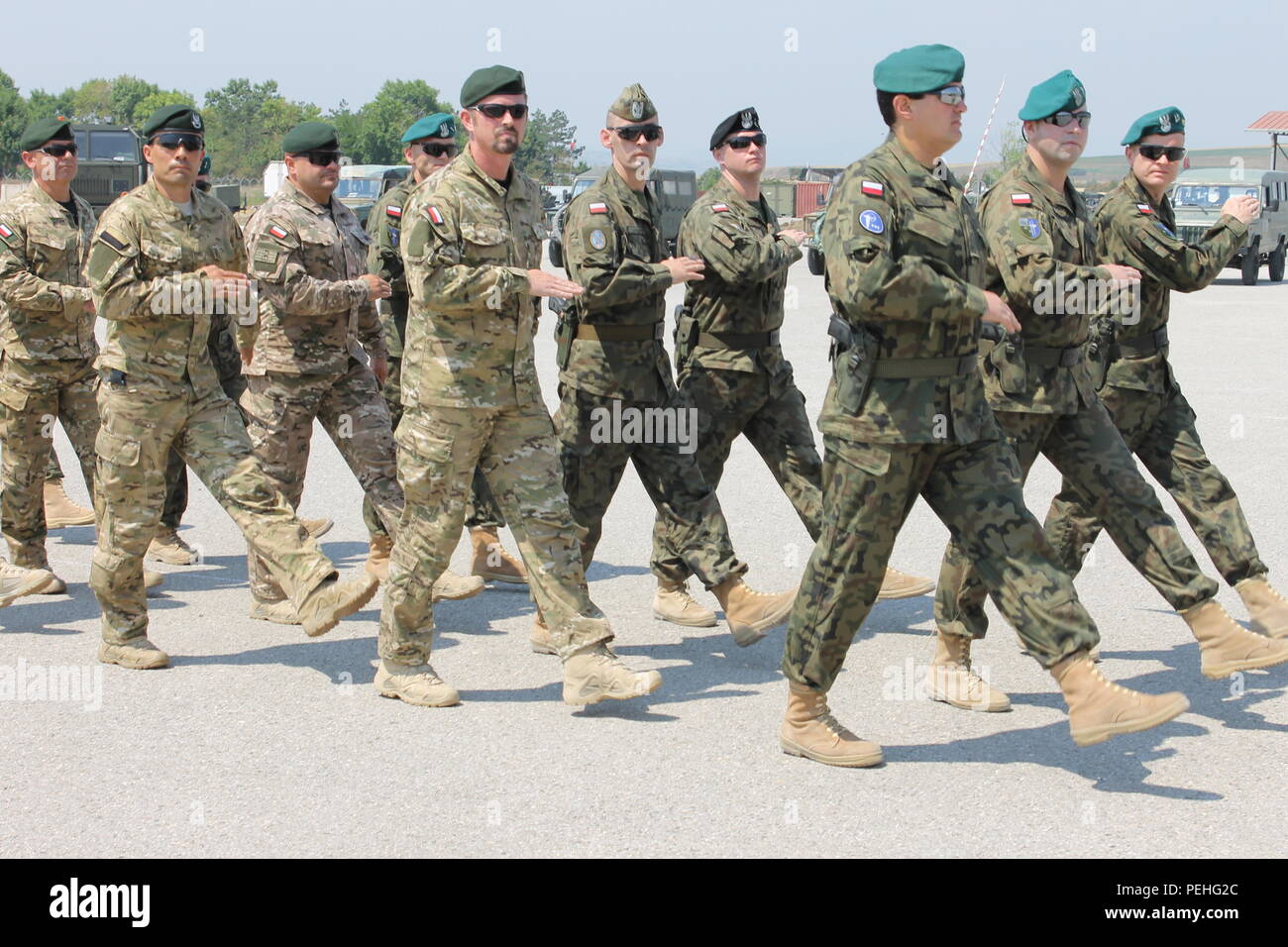 The Multinational Battle Group-East Polish contingent marches in a pass ...