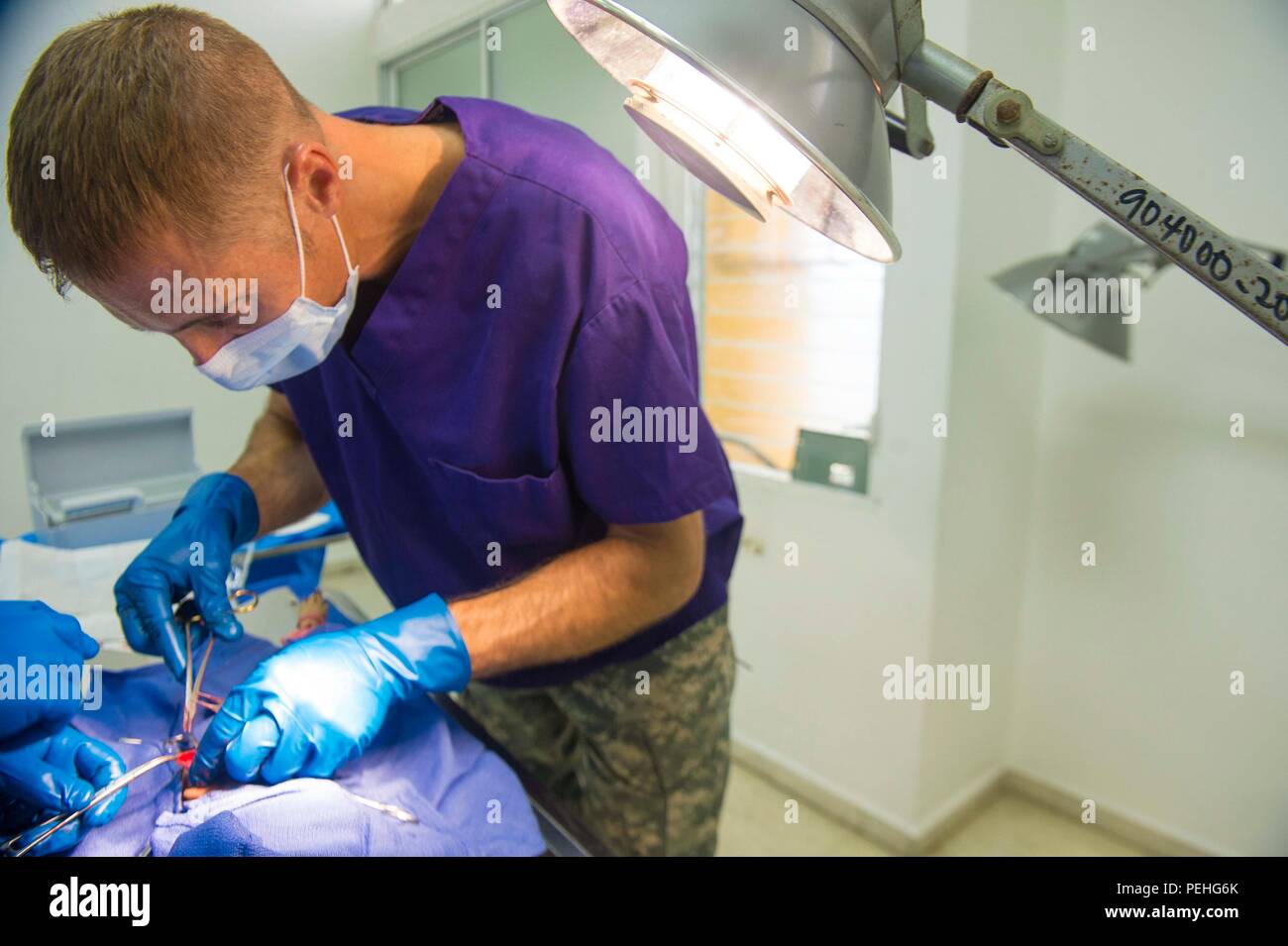 Hospital clinico veterinario hi-res stock photography and images - Alamy