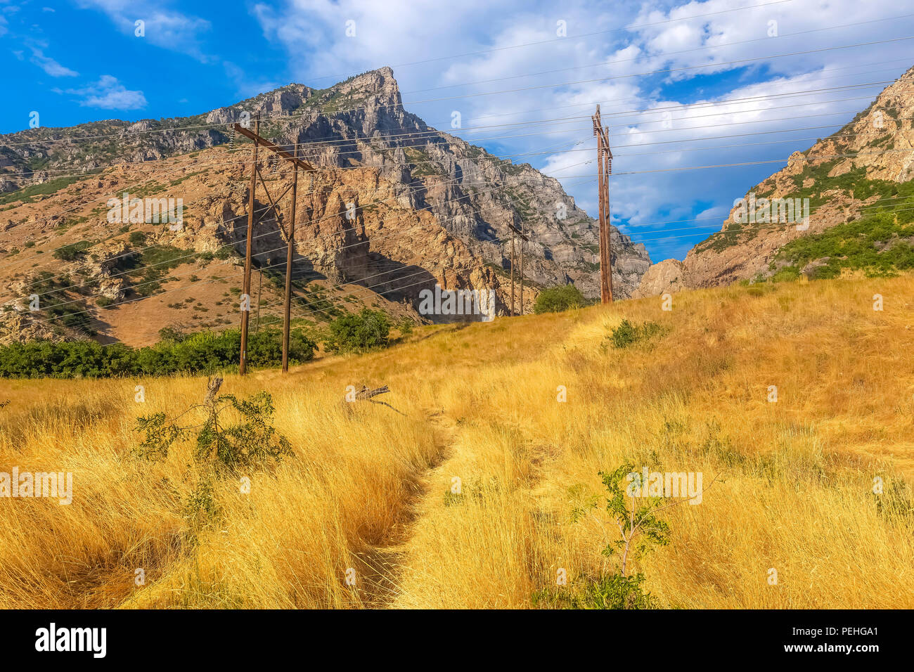 Yellow grass growing in Provo Canyon Stock Photo - Alamy