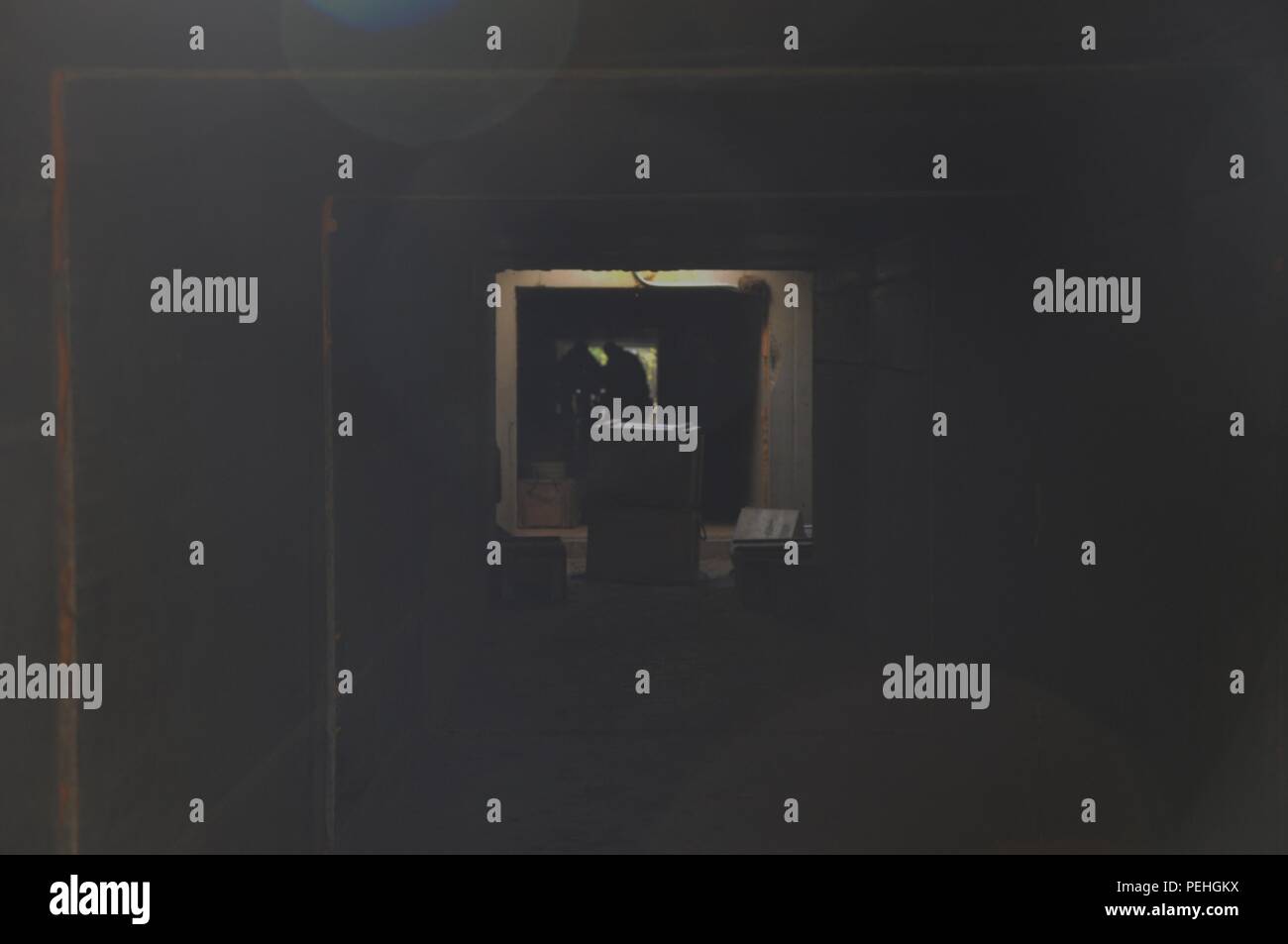 Soldiers from the 300th Chemical, Biological, Radiological and Nuclear ...