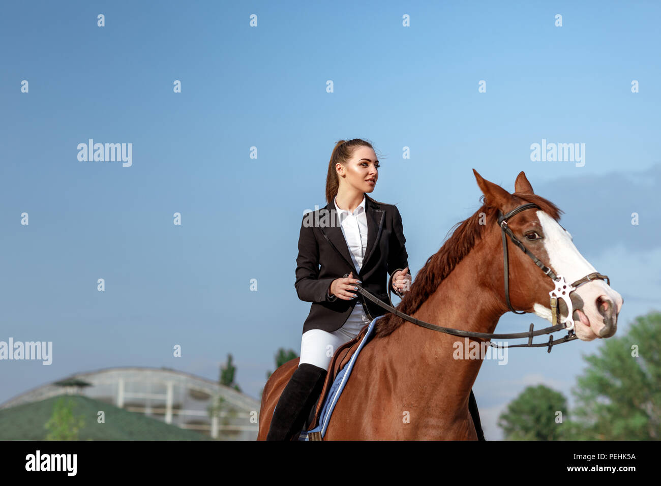 Rider elegant woman riding her horse outside Stock Photo - Alamy