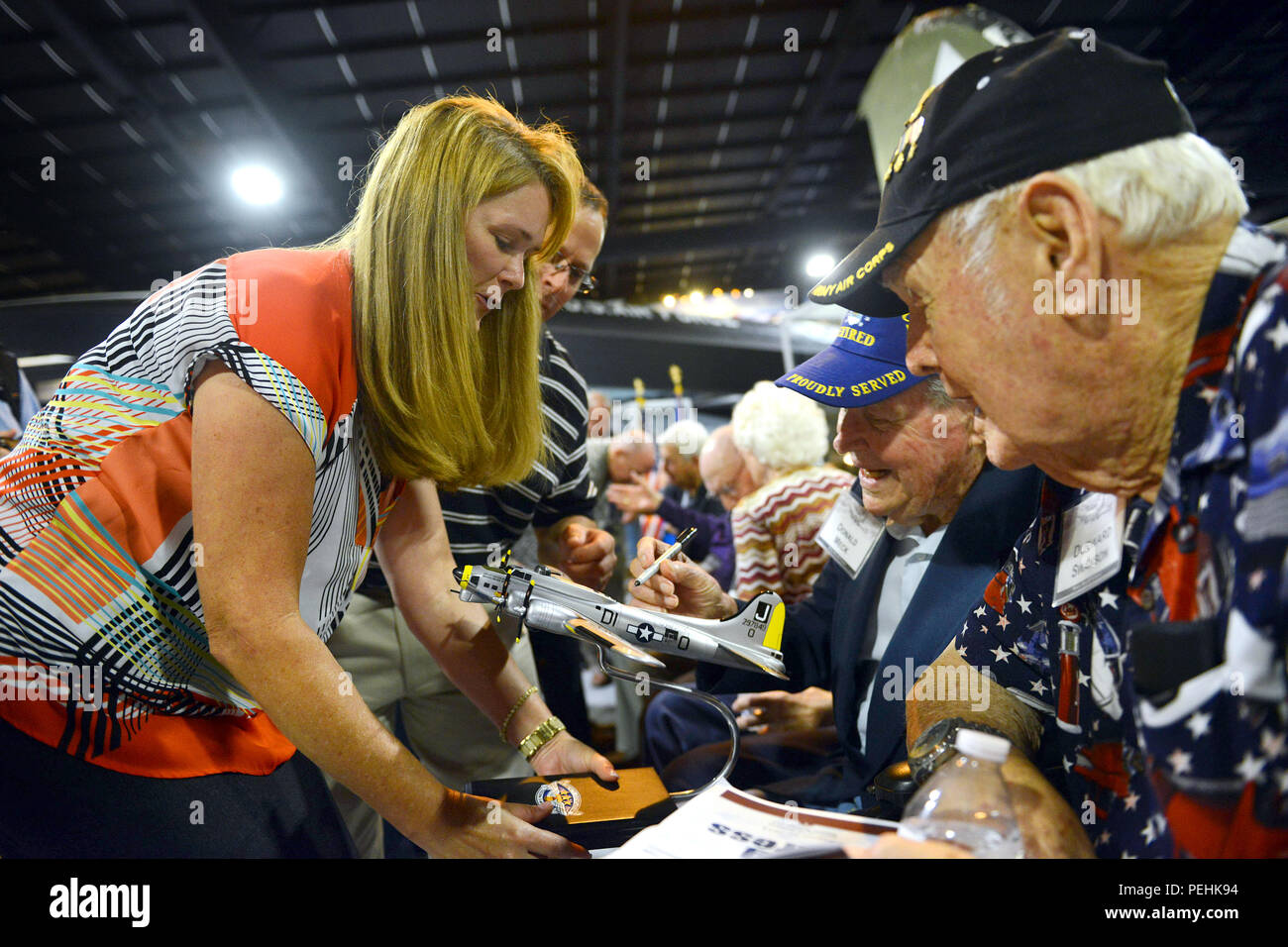 Lisa Fruge Cirilli, BAE Assistance and Aerospace Industry Committee ...