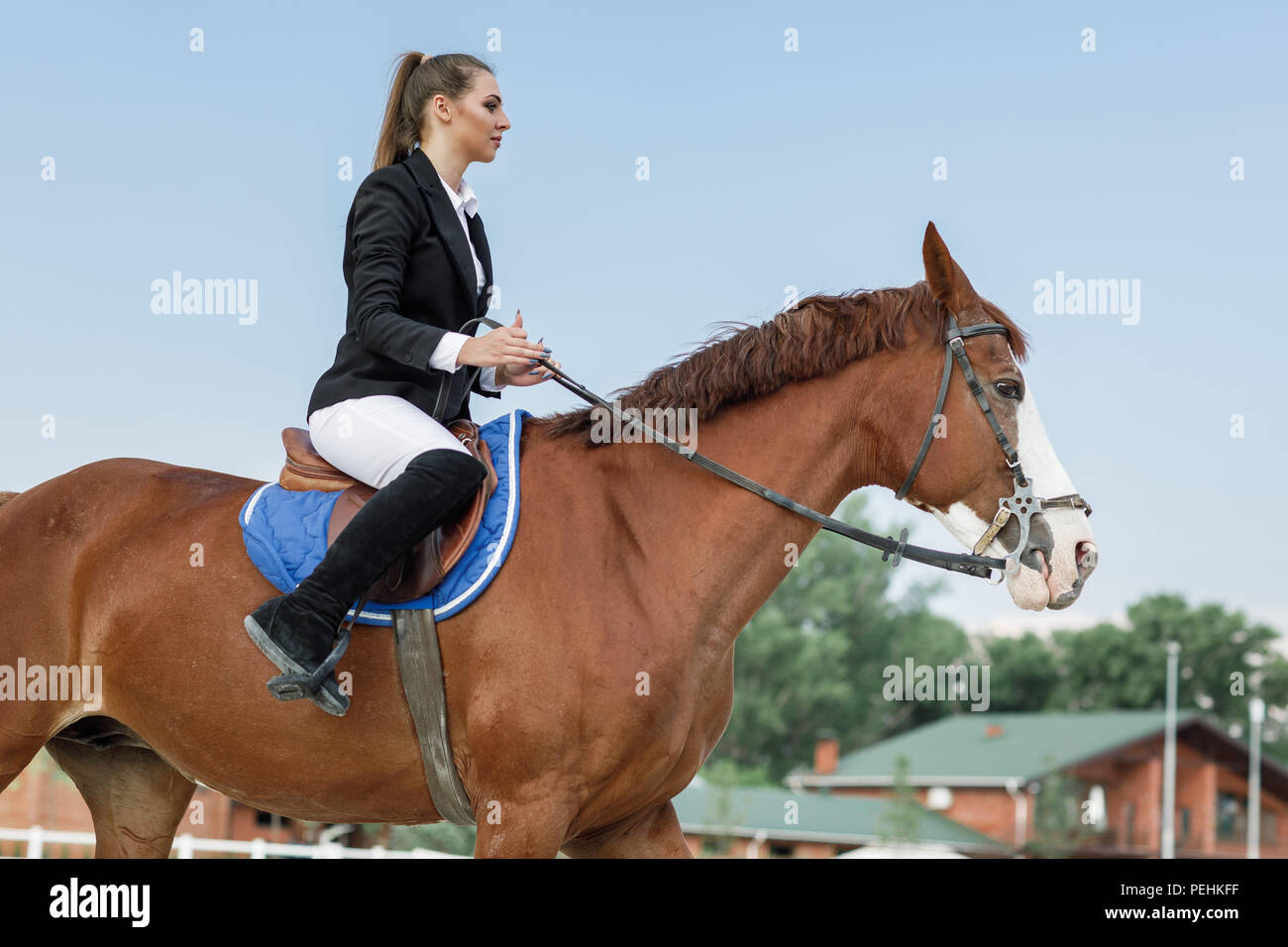 Rider elegant woman riding her horse outside Stock Photo - Alamy