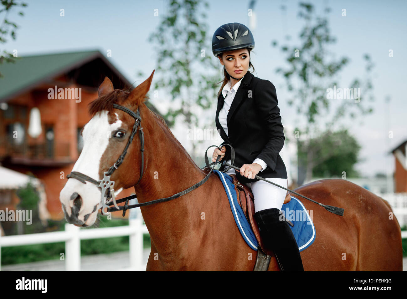 Rider elegant woman riding her horse outside Stock Photo - Alamy